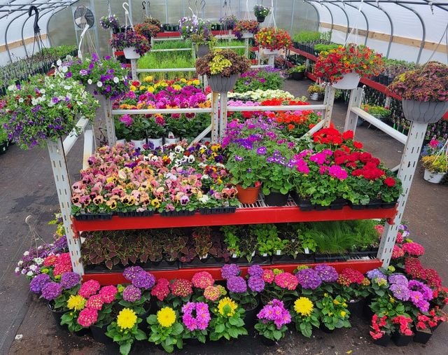 Cornerstone Nursery | Dubuque, Iowa