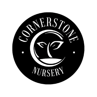 Cornerstone Nursery | Dubuque, Iowa